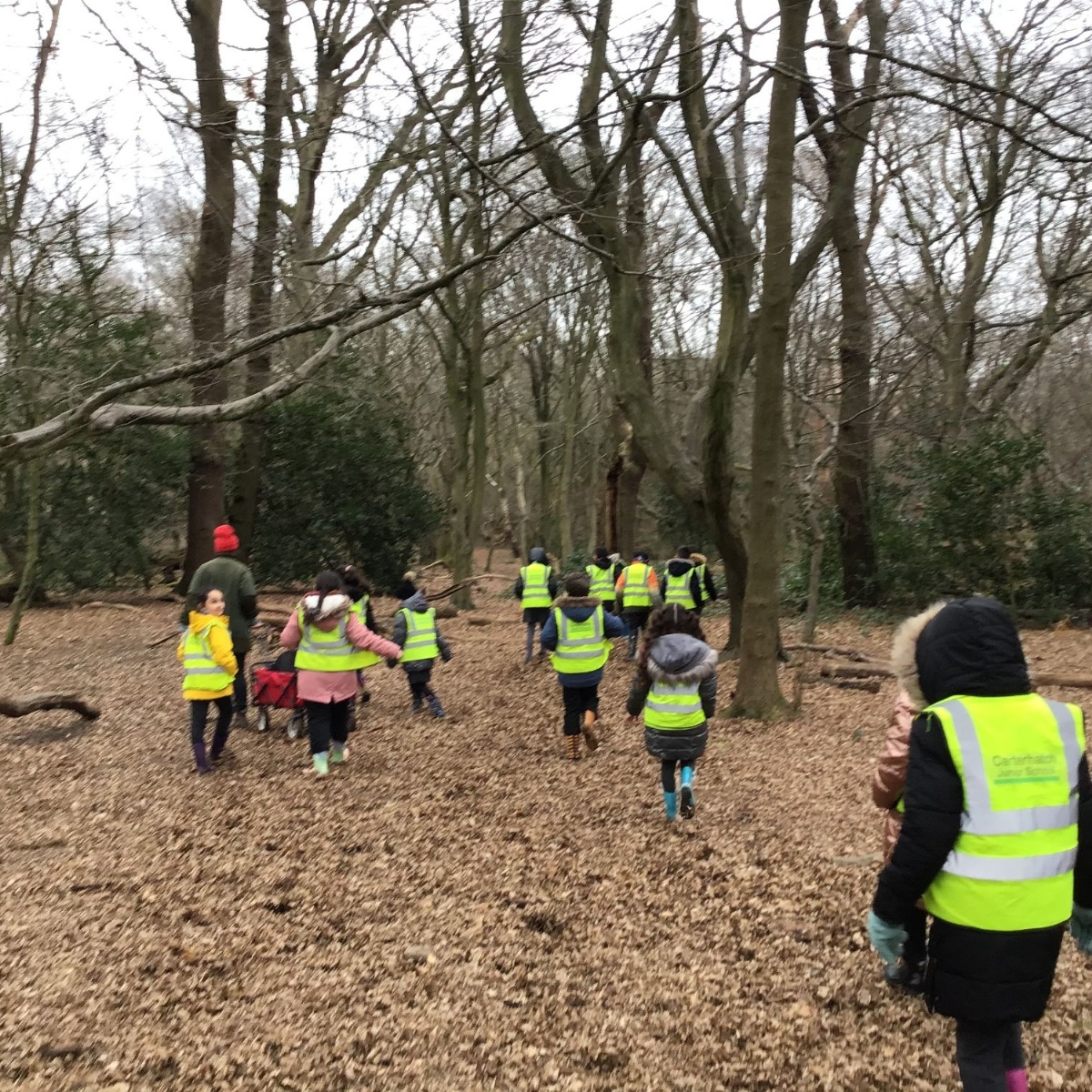 Carterhatch Junior School - 4Sharman & 4Henson Epping Forest Trip